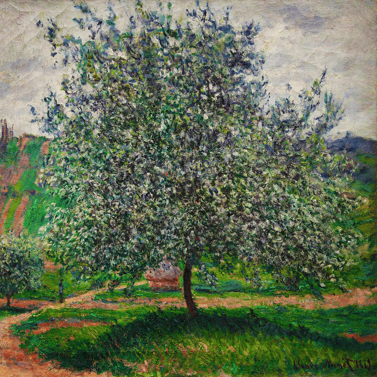 The Apple Tree by Claude Monet - Wall Art Wrapped Frame Canvas – The ...