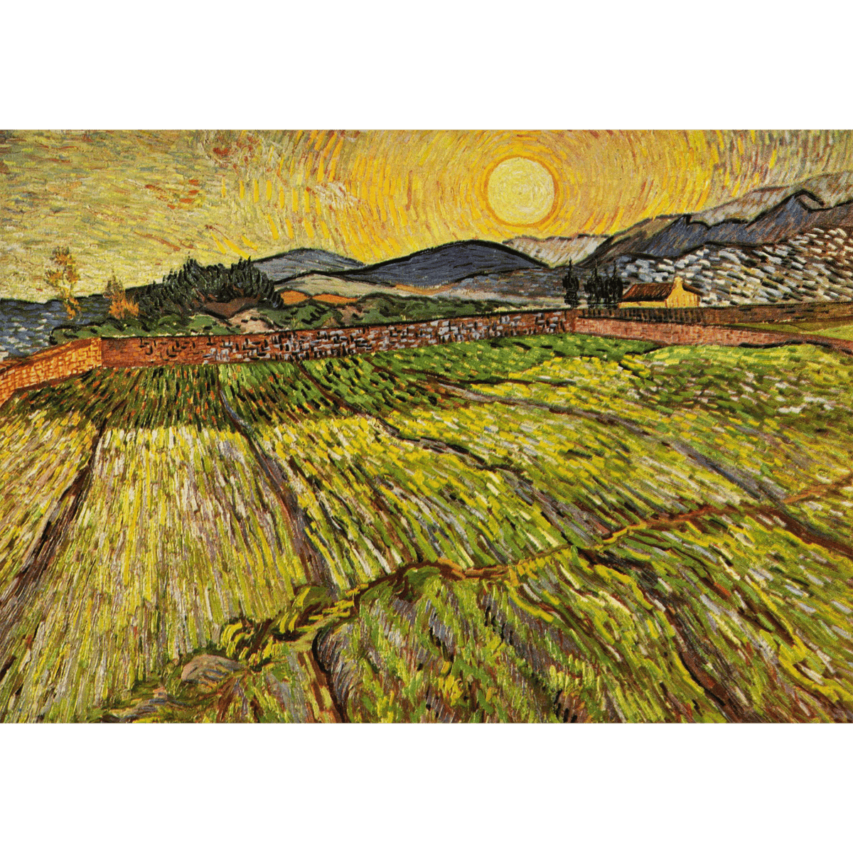 Enclosed Field with Rising Sun The Wheat Field by Vincent Van Gogh Wall ...