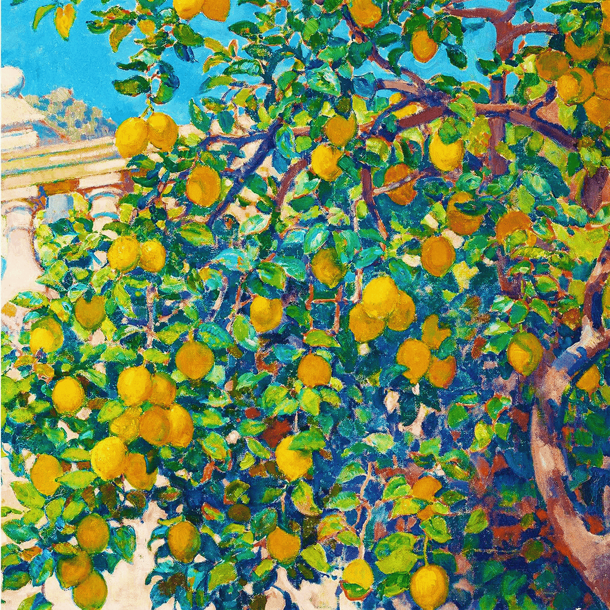 Lemon Tree by Theo van Rysselberghe - Wall Art Photo Poster – The Art ...