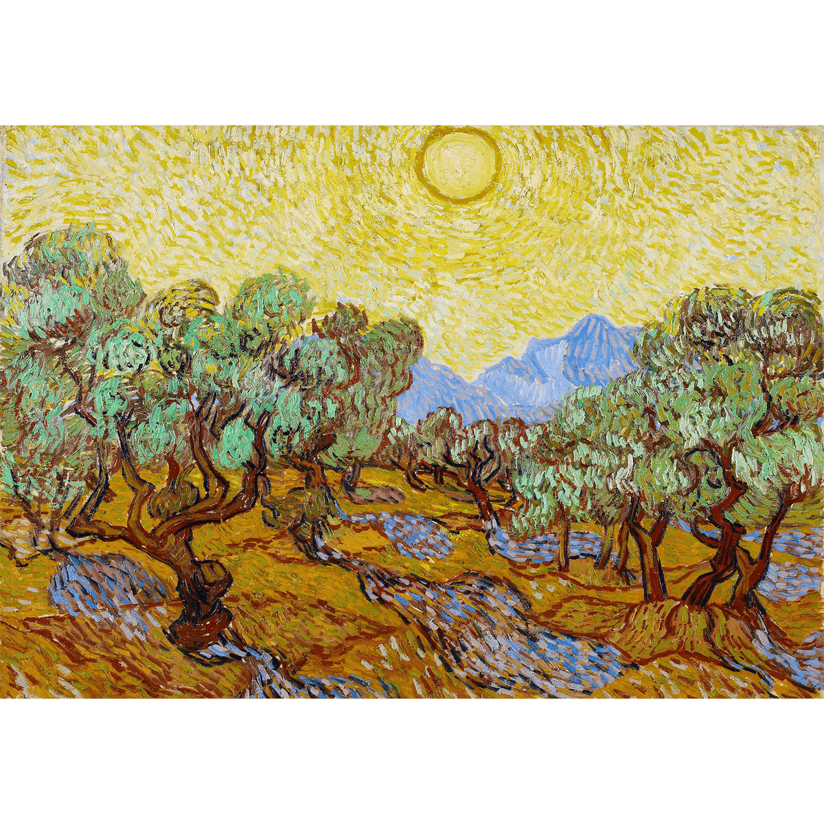 Olive Trees by Vincent van Gogh - Wall Art Photo – The Art Print Company
